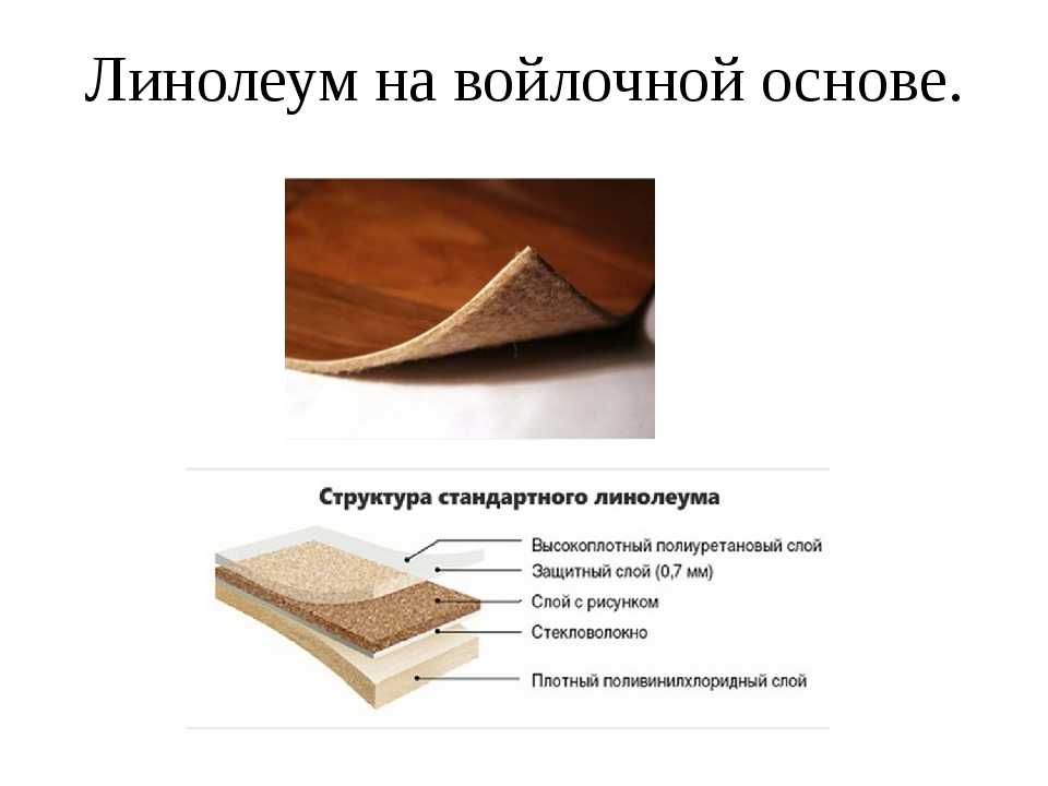 Какой линолеум лучше на вспененной основе или войлочной: Какой линолеум ...